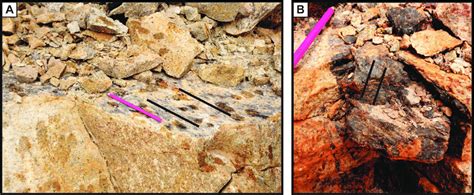 Less Commons Structures A Very Low Angle Reverse Fault Plane Filled Download Scientific