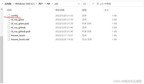 Git共同配置github和gitee的ssh Keygit怎么配置和使用 Taoler