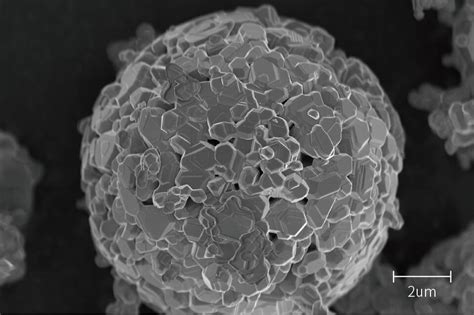 Fesem Field Emission Scanning Electron Microscope Sem5000 Suppliers Fesem Field Emission