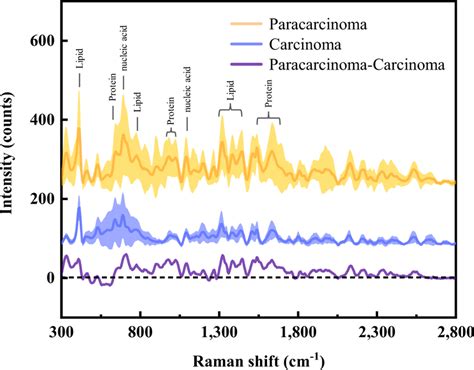 Intraoperative Detection With A Handheld Fibre Coupled Raman Download Scientific Diagram