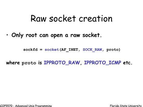 PPT Raw Sockets Datalink Access PowerPoint Presentation Free Download ID 284299
