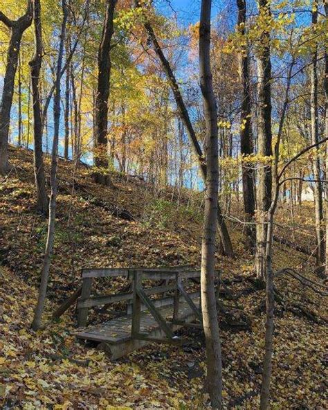 Jefferson Memorial Forest Official Travel Source