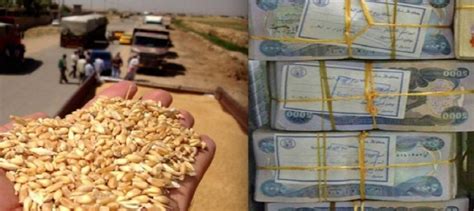 پارەی گەنمی جوتیاران دابەشدەکرێت