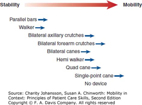 FOCS Exam 1 Part 2 Flashcards Quizlet