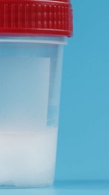 Científicos Descubren Que El Uso Del Móvil Reduce La Calidad Del Semen