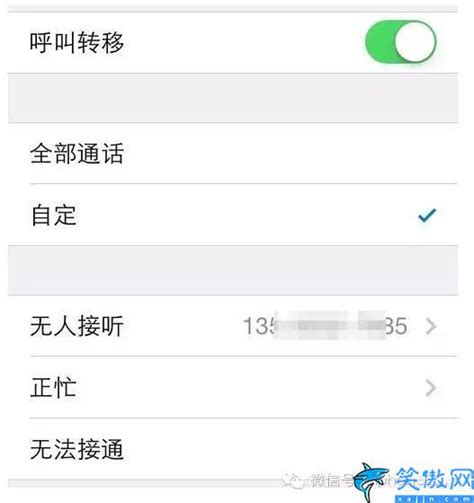 苹果手机如何设置呼叫转移功能 以及iPhone呼叫转移操作方法 寂寞网