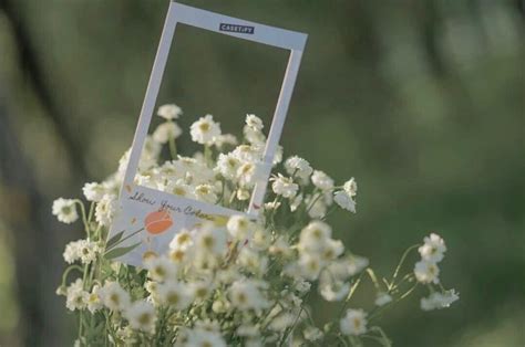 Pin By Minh Hieu On Cute Random Things ｡•̀ᴗ Cover Wallpaper