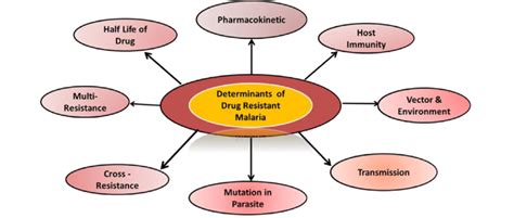 Different Parameters That Contribute To Antimalarial Resistance