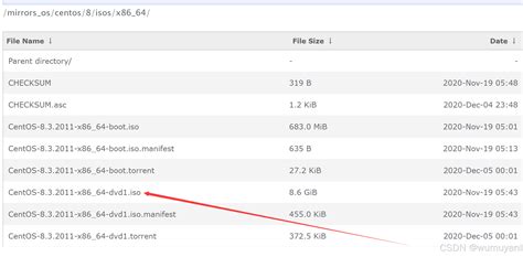 基于centos8的hadoop部署（超详细版） centos8安装hadoop csdn博客