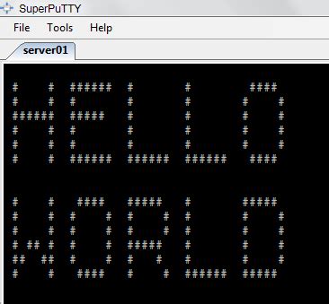 10 Basic UNIX LINUX Commands Geeky Pinas