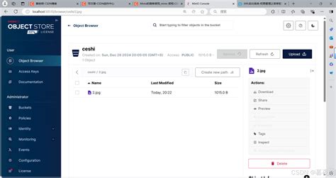 Minio的使用minio登录 Csdn博客 Minio的使用minio登录 Csdn博客