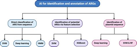 Frontiers Artificial Intelligence Tools For The Identification Of Antibiotic Resistance Genes
