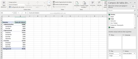 Tablas dinámicas de Excel Online Ninja del Excel
