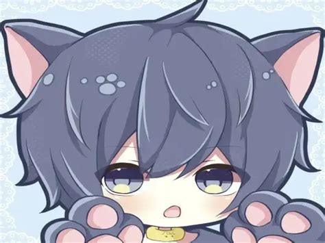 Chim Cút Lợi ích Và Cách Chăm Sóc đúng Cách Hiệu Quả Nhất