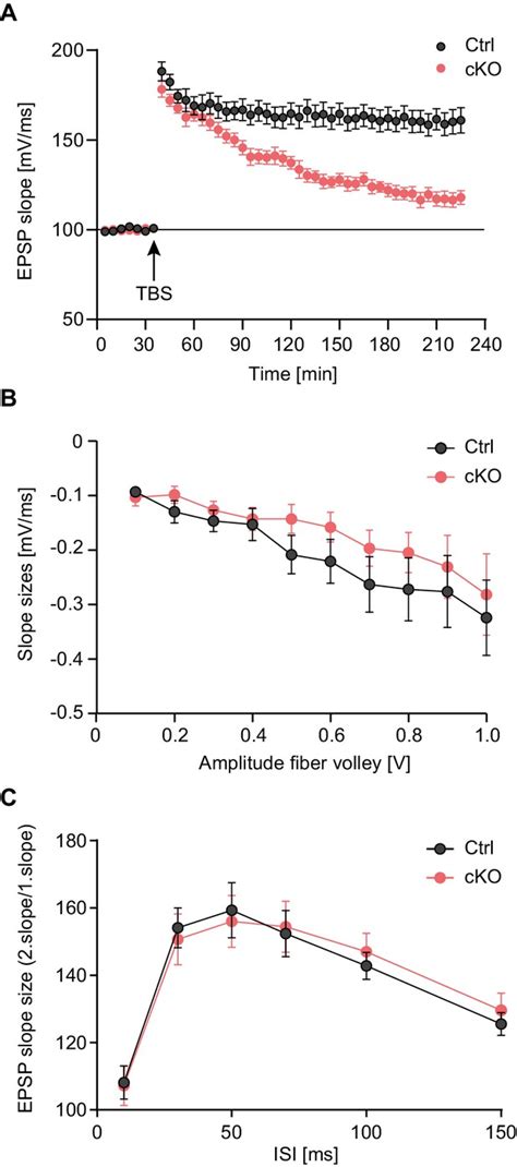 Figures And Data In Satb2 Determines Mirna Expression And Long Term Memory In The Adult Central