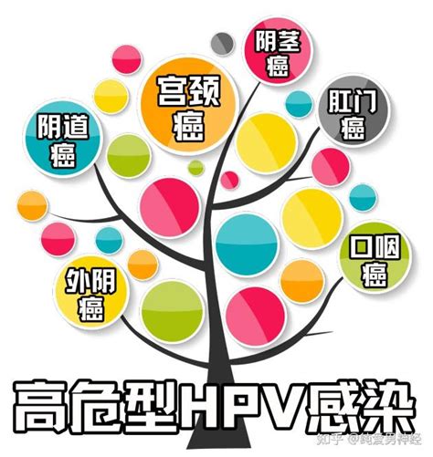 Hpv治疗方法？ 知乎