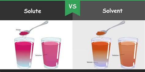 Science Page Bio Differences