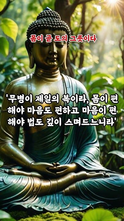 명언부처님말씀부처님의가르침좋은글마음의소리로쓰는글 Youtube