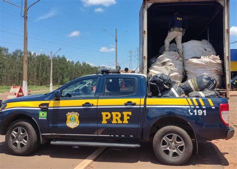 Prf Apreende 252 Kg De Skunk Em Três Lagoas Rcn67