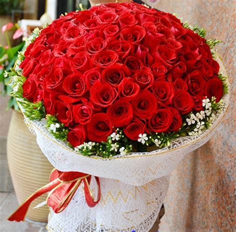 Top 64 Về Hình ảnh Hoa Hồng đẹp Nhất Hay Nhất Vn