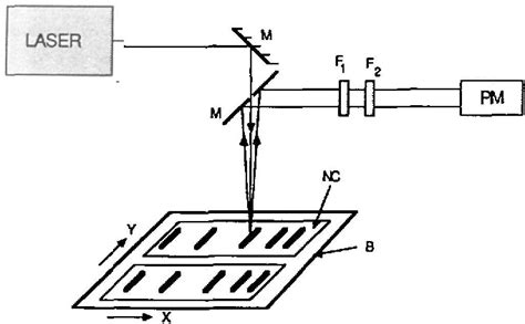 Figure 1 From Quantification Of Nucleic Acids On Nitrocellulose