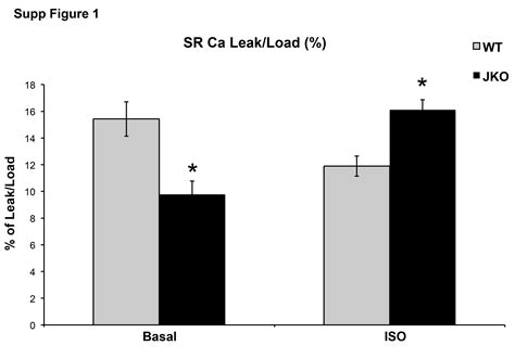 Calciumcalmodulin Dependent Protein Kinase Ii Camkii Inhibition
