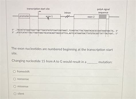 [solved] Transcription Start Site Polya Signal Intron Sequence Promoter Course Hero