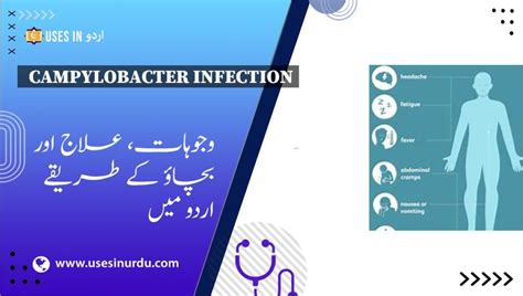 Campylobacter Infection Uses In Urdu
