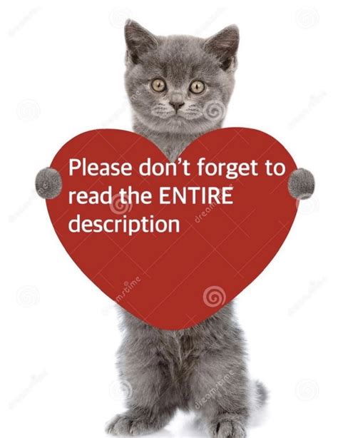 Vintage Purple Shiny Satin Lace Trim Button Nightie N Gem