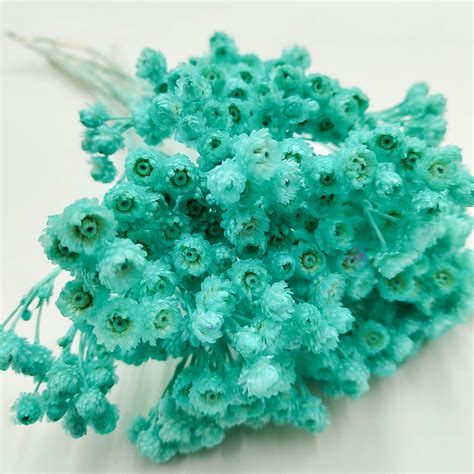 Mint Dried Immortelle Helichrysum Italicum 40g Natural Accent