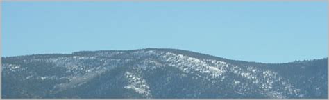 무료별자리운세