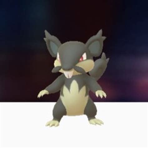 ポケモンgo、アローラのコラッタが野生で登場。進化でアローララッタ ポケモンメモ