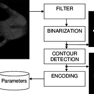 PDF Biometric Security Technology