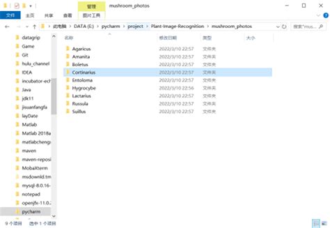 基于卷积神经网络的蘑菇识别微信小程序 Csdn博客