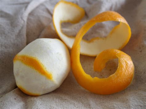 Using The Meyer Lemon Tree Harvest — Snips Entwined
