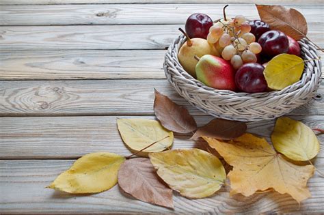 다양한 과일이 있는 가을정생활이 고리버들 접시에 누워 있습니다 가을 단풍 나무와 다른 잎 0명에 대한 스톡 사진 및 기타 이미지 Istock