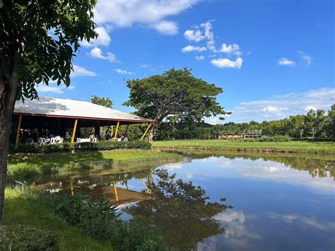 La Factoria Chiang Mai Restaurant Reviews Photos And Phone Number