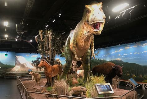Institute For Creation Research Advanced Animations Animatronics