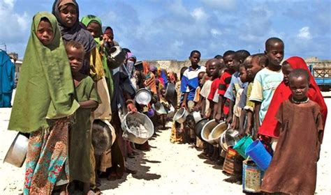 Over Quarter Billion People Were Acutely Food Insecure In 2022 Report