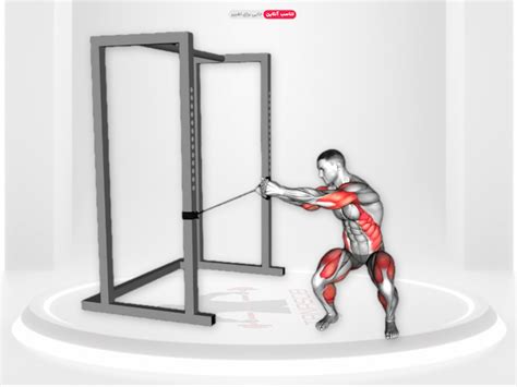 اسکوات چرخشی با کش تناسب آنلاین