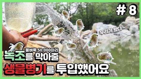 ENG SUB 고인 물은 다 썩는다던데 이 연못은 왜 맑아지죠 YouTube