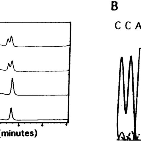 A The Denaturing High Performance Liquid Chromatography Dhplc Elution