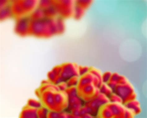 Hépatite E Learnycare