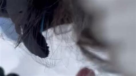 Alaskan Hike With Blowjob And Cumshot Free Sex Video Redtube