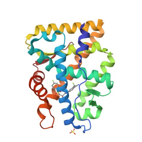 Rcsb Pdb 1z95 Crystal Structure Of The Androgen Receptor Ligand