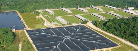 Modelos sustentables en la porcicultura mundial Kekén Porcicultura Sustentable