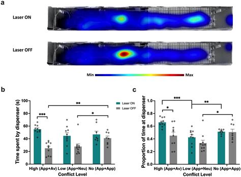 Male Rodent Perirhinal Cortex But Not Ventral Hippocampus Inhibition