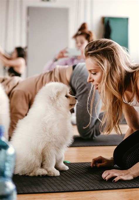 Puppy yoga w Warszawie Jak wyglądają zajęcia jogi z pieskami