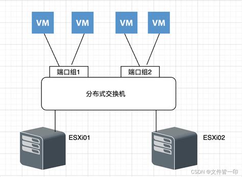 一张图了解vmware Vsphere网络架构vmkernel网卡 Csdn博客