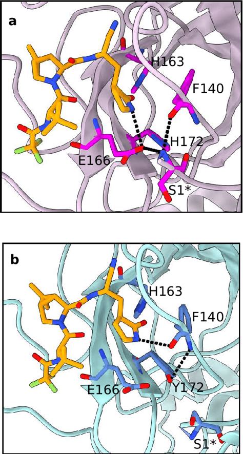 H172y Mutation Perturbs The Interactions Between Nirmatrelvir And Mpro